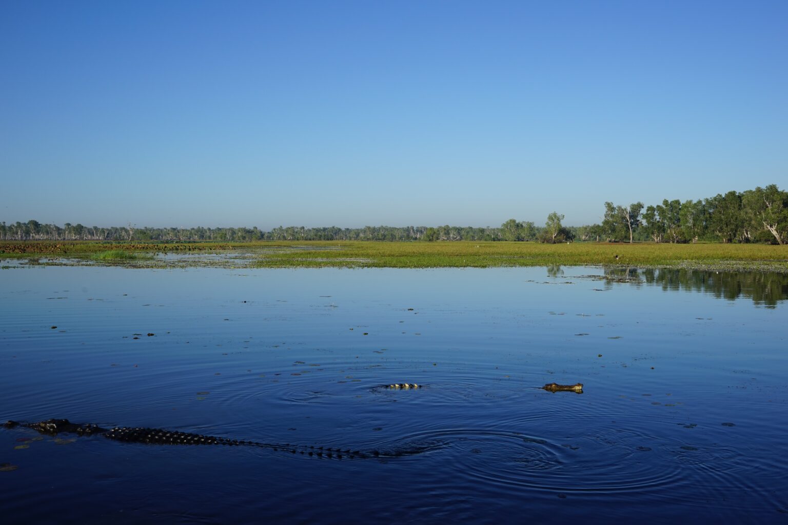 Yellow Water Cruise, Kakadu National Park – Yohei.Photography